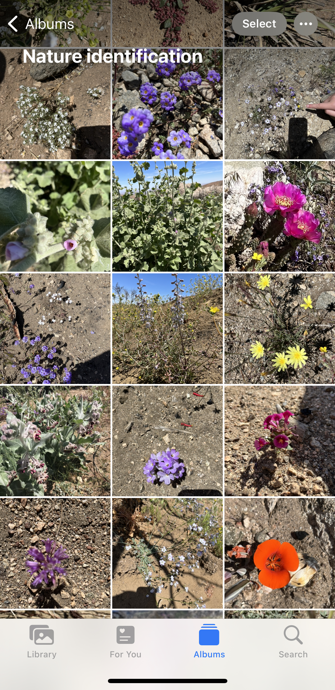 Nature Study – Ambling Together