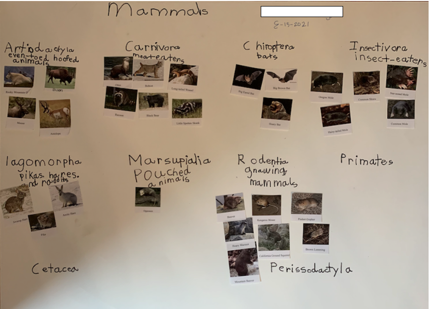 Year 2 – Ambling Together