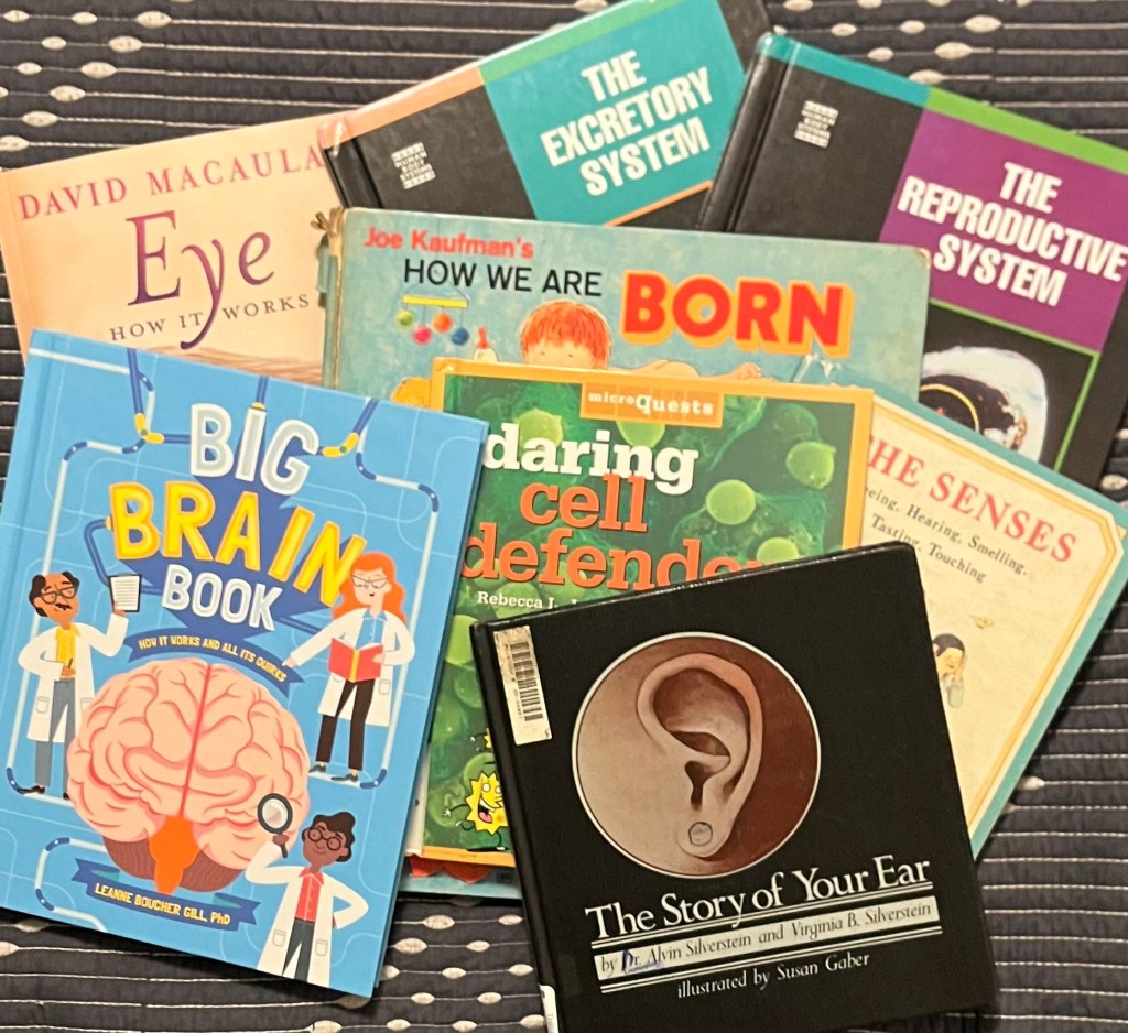 Other Guides – Page 6 – Ambling Together