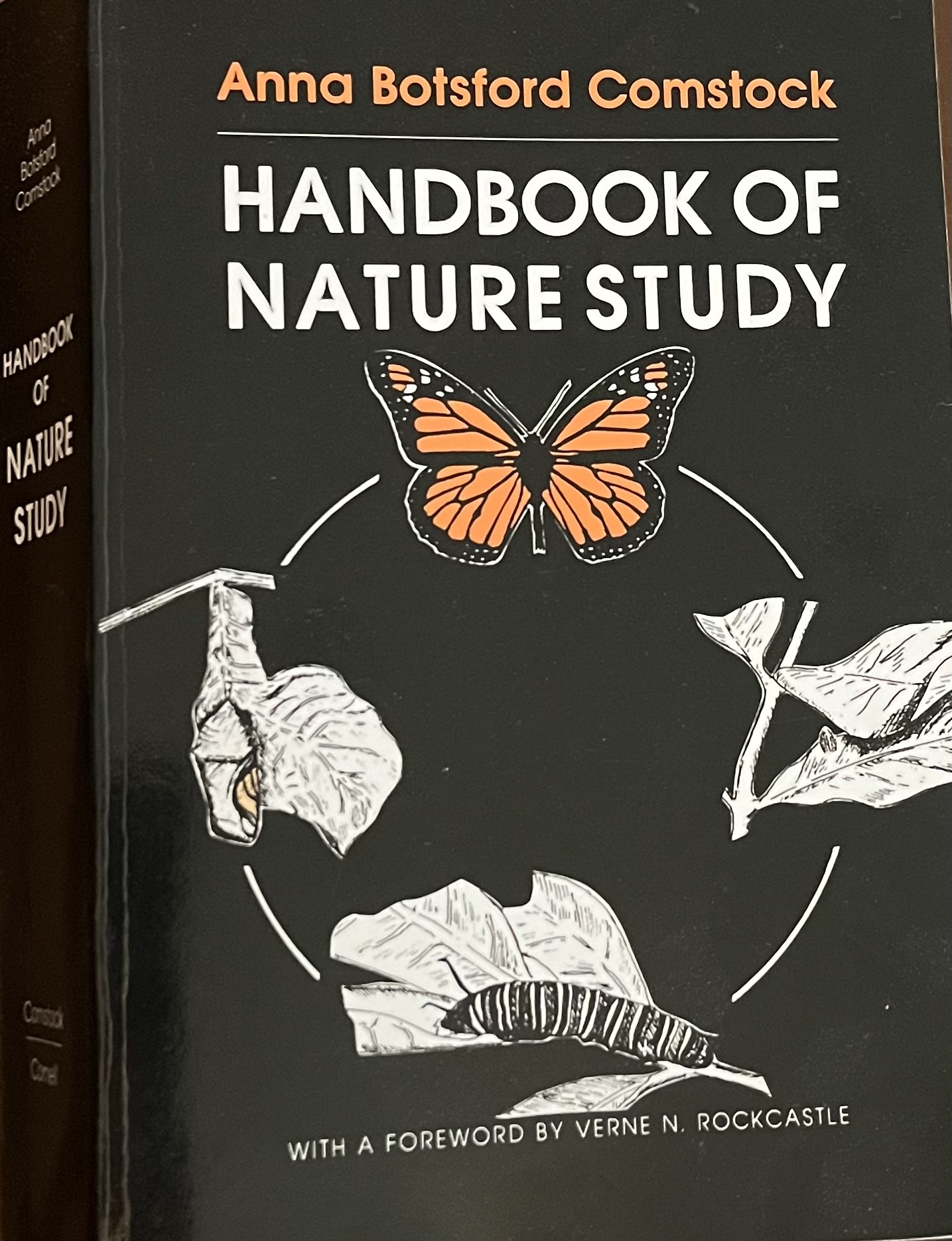 Nature Study – Ambling Together