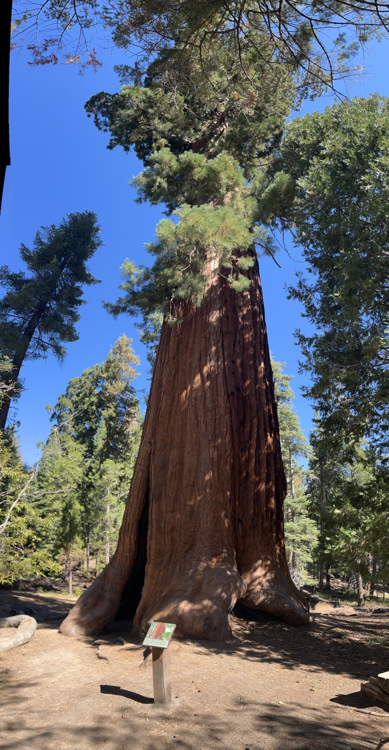 Nature Study – Page 3 – Ambling Together