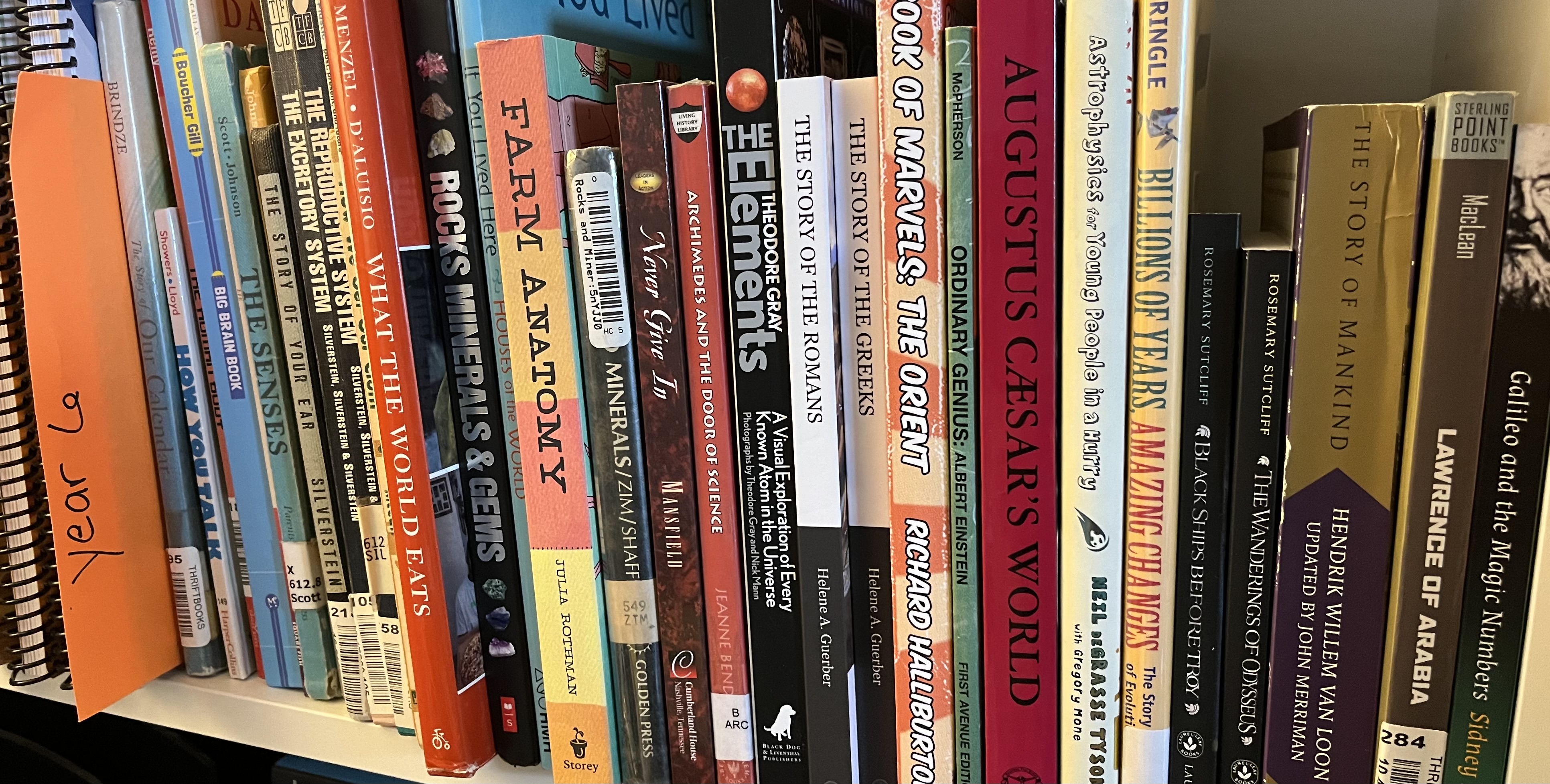 Year 6 – Ambling Together